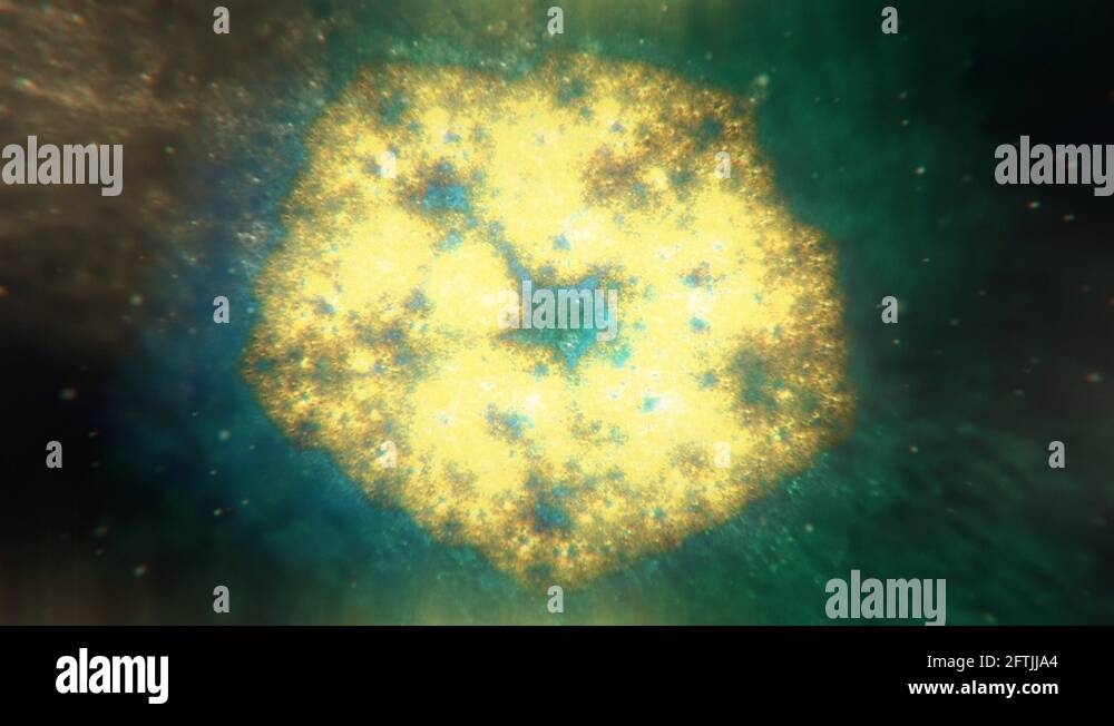 Fungal pattern Stock Videos & Footage - HD and 4K Video Clips - Alamy