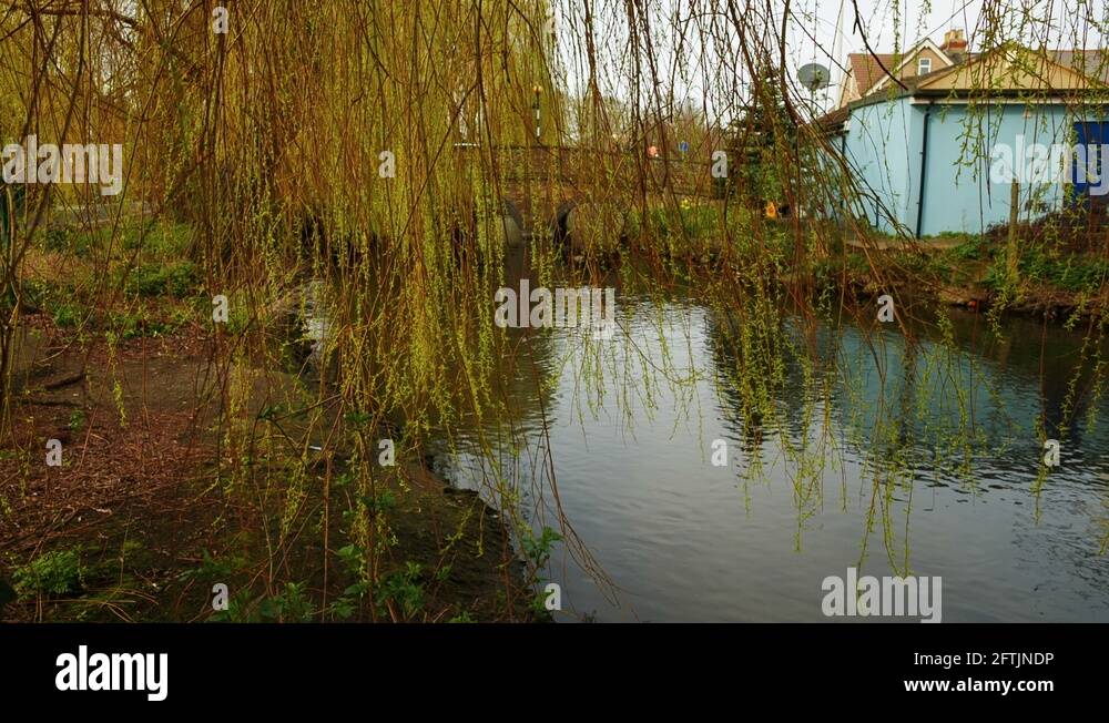 British landscape Stock Videos & Footage - HD and 4K Video Clips - Alamy