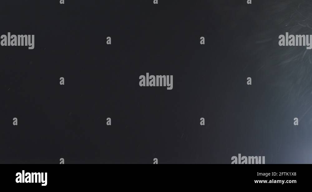 dust particles explosion from right with light leak Stock Video Footage ...