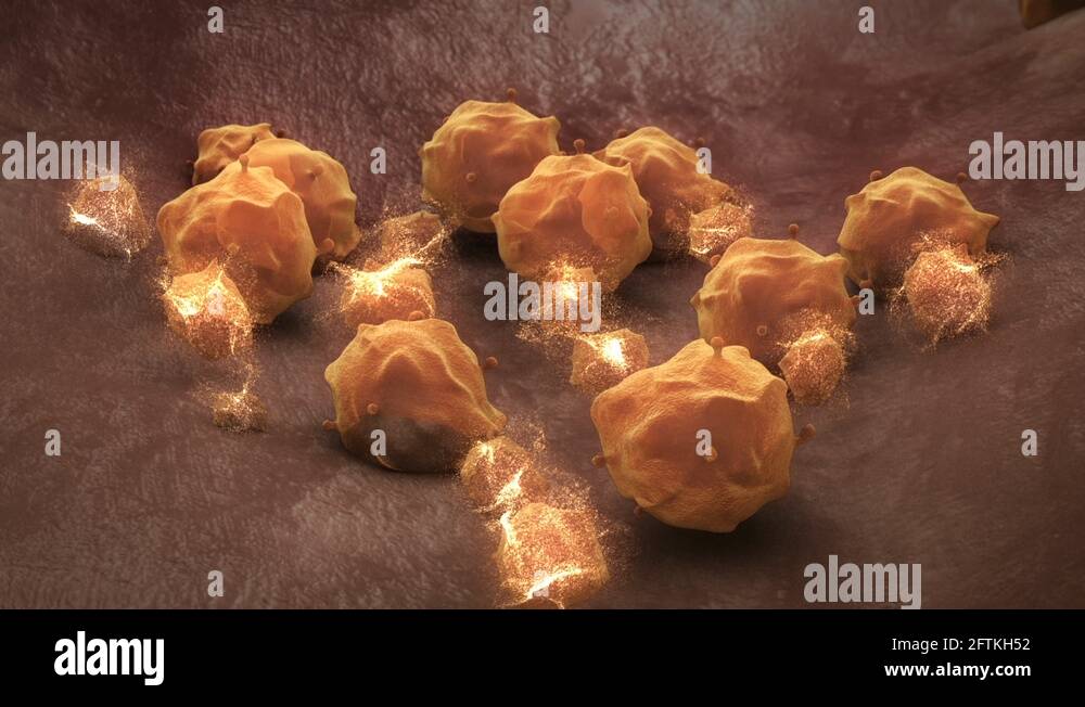 Stem cells for human heart Stock Videos & Footage - HD and 4K Video ...