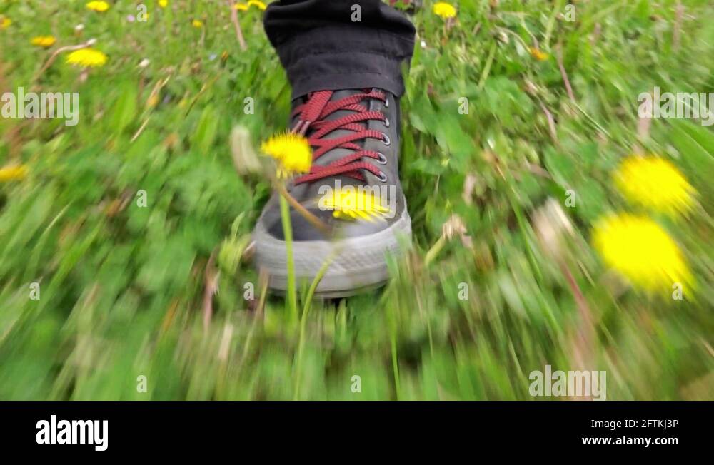 Unique perspective Stock Videos & Footage - HD and 4K Video Clips - Alamy