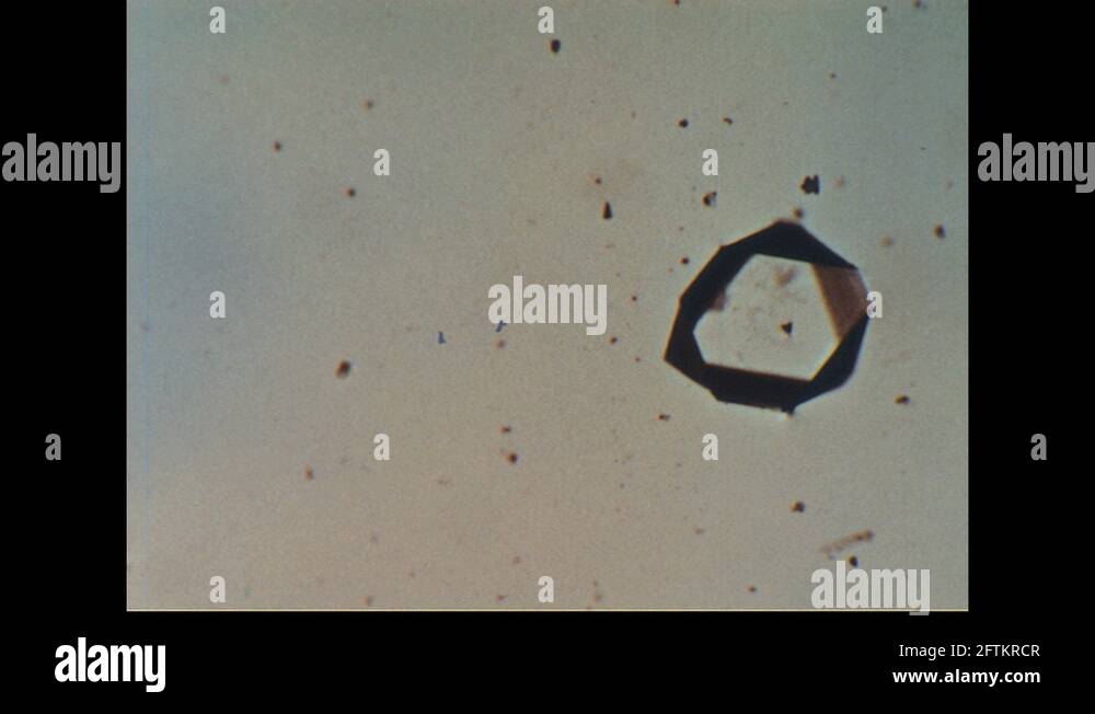 Liquid crystal microscope Stock Videos & Footage - HD and 4K Video ...