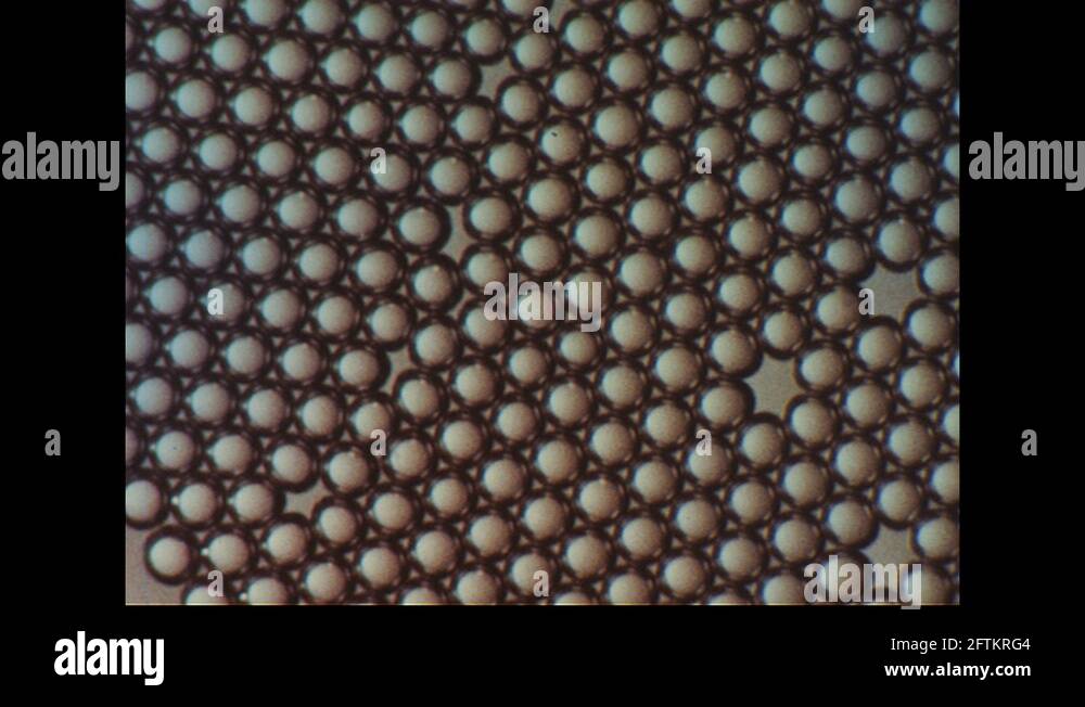 1950s: Magnified view of bubbles in liquid Stock Video Footage - Alamy