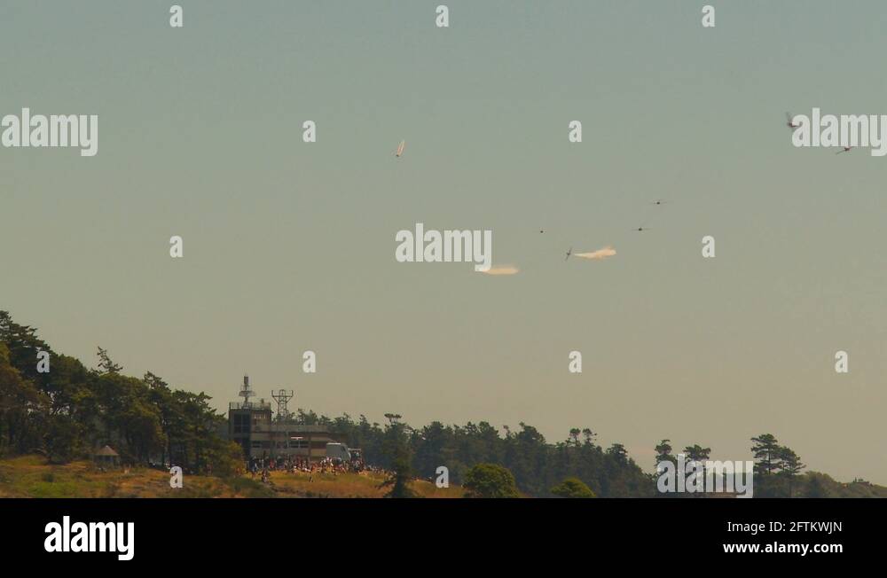 Military demonstration team Stock Videos & Footage - HD and 4K Video ...