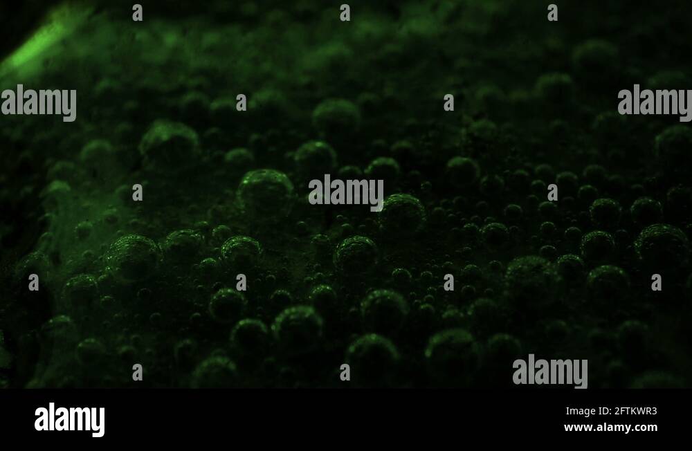 Primordial Stock Videos & Footage - HD and 4K Video Clips - Alamy