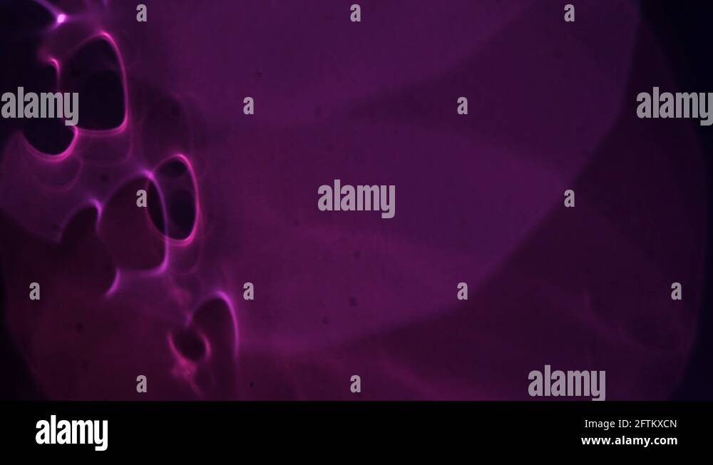 Pink reflecting in water Stock Videos & Footage - HD and 4K Video Clips ...