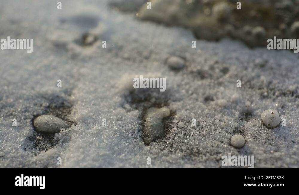 Fizzing reaction Stock Videos & Footage - HD and 4K Video Clips - Alamy