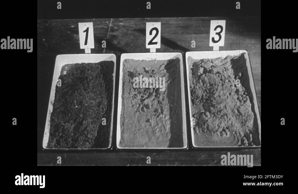 1940s: numbered boxes contain sand. Lead concentrate in tray. Middling ...