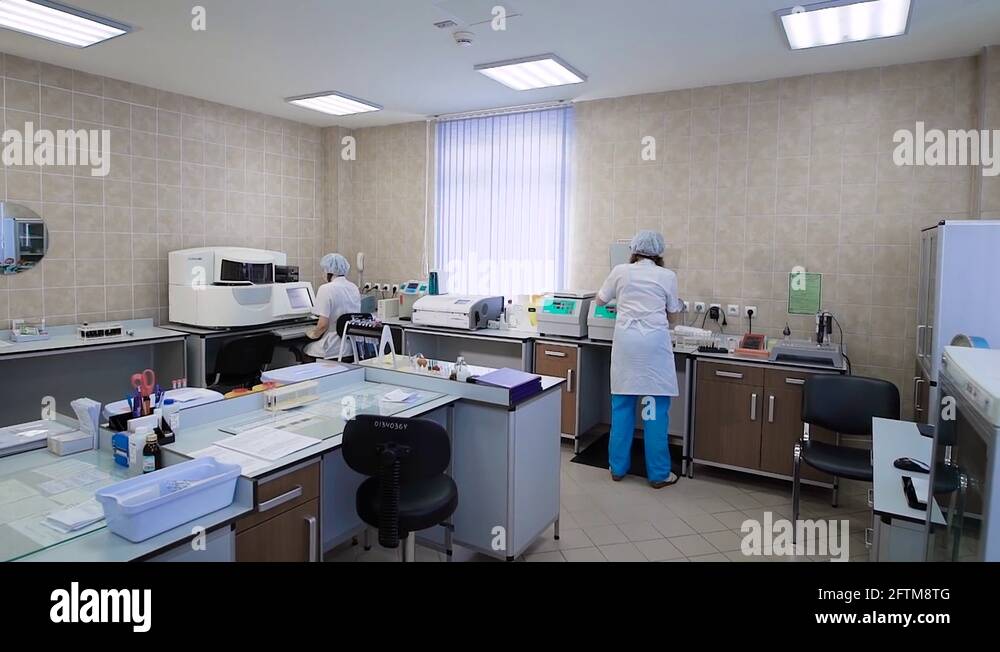 Laboratory with people working. Inside shot of clinical laboratory with ...