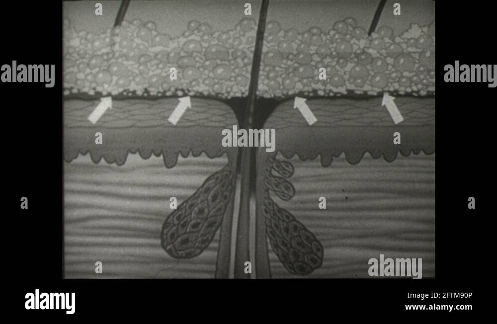 Soap and skin Stock Videos & Footage - HD and 4K Video Clips - Alamy