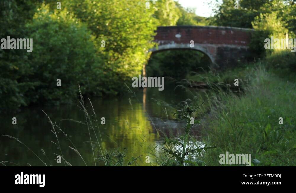 British rural culture Stock Videos & Footage - HD and 4K Video Clips ...