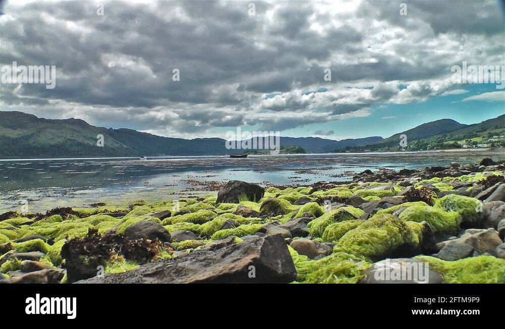 Loch carron view Stock Videos & Footage - HD and 4K Video Clips - Alamy