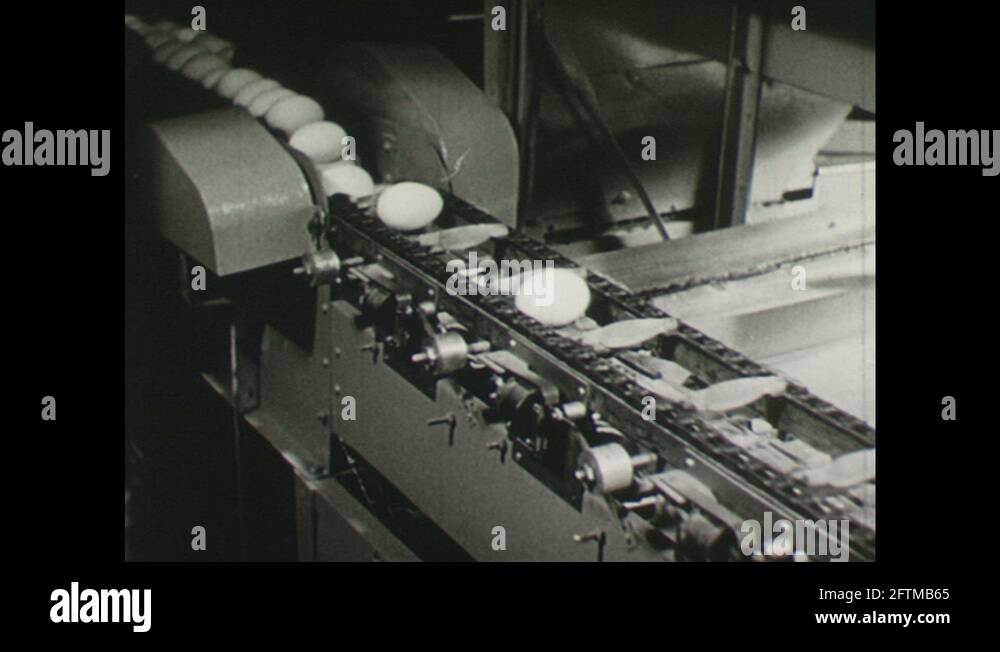 Egg size machine Stock Videos & Footage - HD and 4K Video Clips - Alamy
