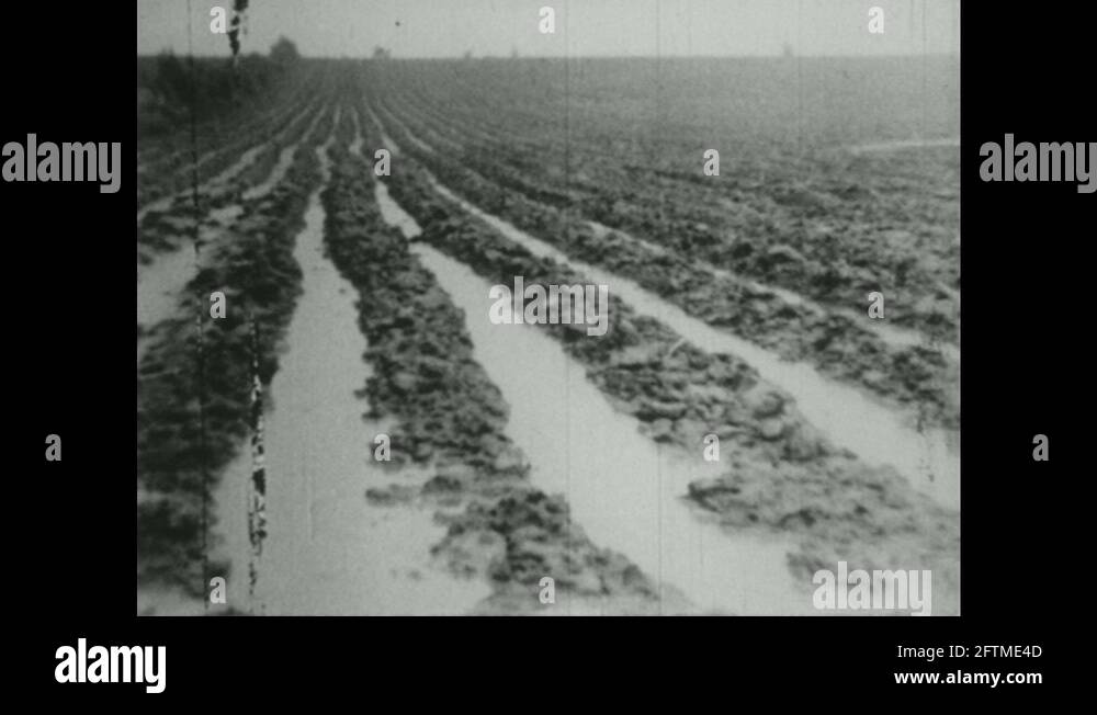 Furrows soil Stock Videos & Footage - HD and 4K Video Clips - Alamy
