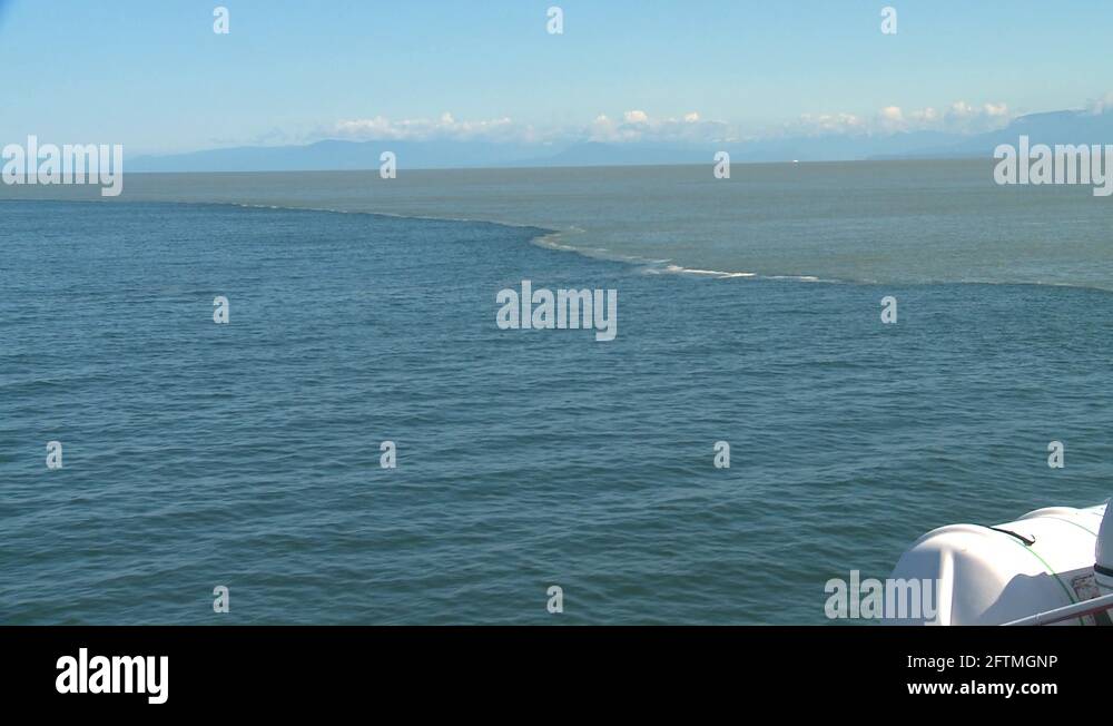 Salt line Stock Videos & Footage - HD and 4K Video Clips - Alamy