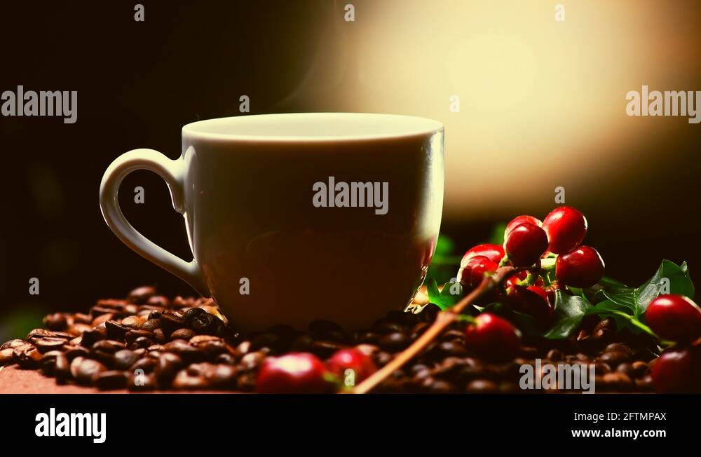 Real coffee beans Stock Videos & Footage - HD and 4K Video Clips - Alamy