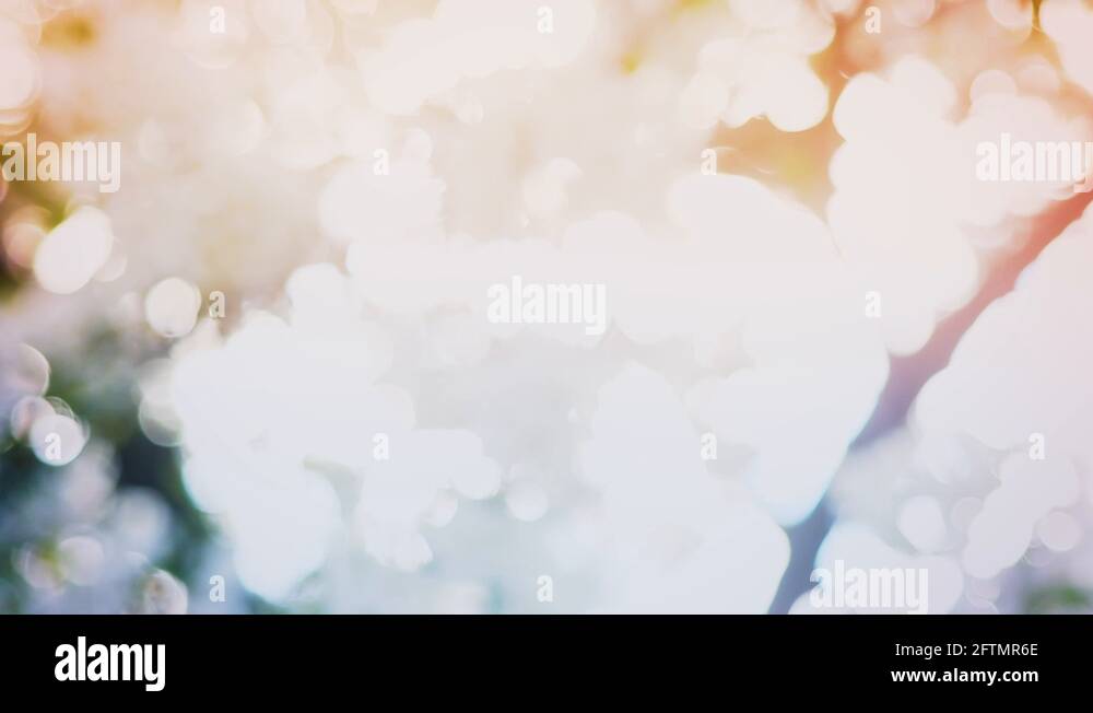 Glimmer of sunshine Stock Videos & Footage - HD and 4K Video Clips - Alamy
