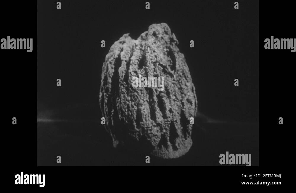 Internal structures Stock Videos & Footage - HD and 4K Video Clips - Alamy