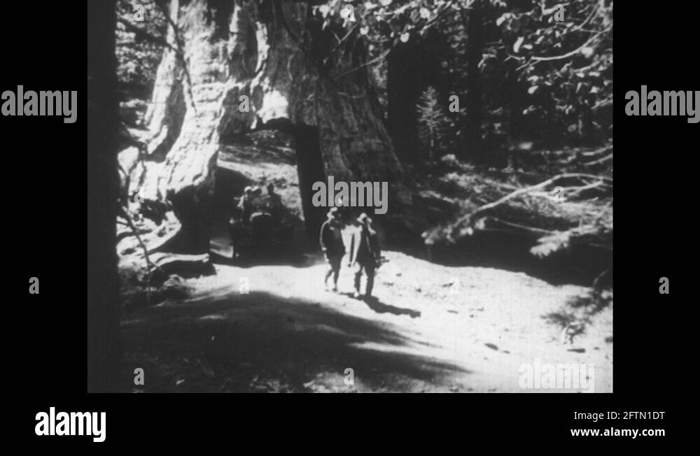 Explore national parks Stock Videos & Footage - HD and 4K Video Clips ...