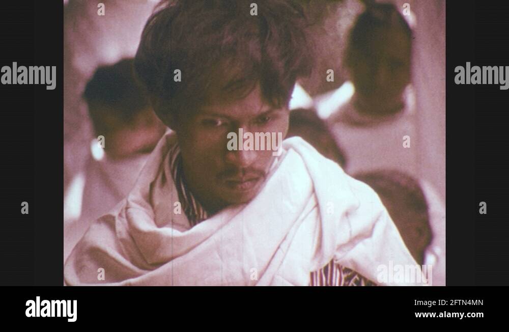 Lady under tree Stock Videos & Footage - HD and 4K Video Clips - Alamy