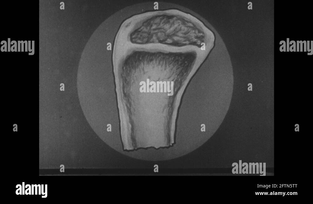 Playing the bones Stock Videos & Footage - HD and 4K Video Clips - Alamy