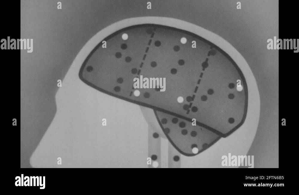 1960s: diagram of lots of particles moving around brain broken into 3 ...