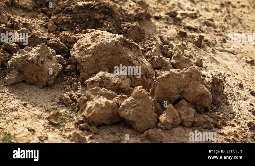 Clayey soil Stock Videos & Footage - HD and 4K Video Clips - Alamy