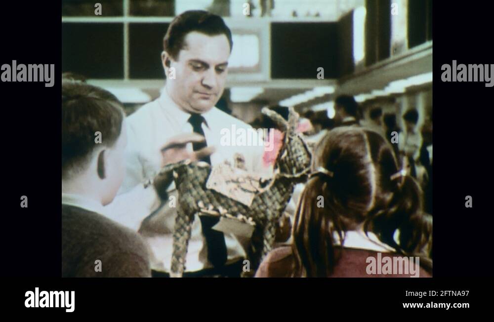 Customs checks Stock Videos & Footage - HD and 4K Video Clips - Alamy