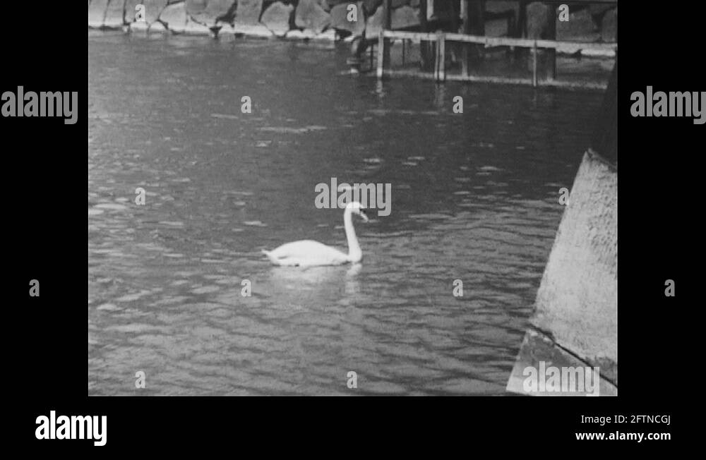 Surrender of imperial japan Stock Videos & Footage - HD and 4K Video ...