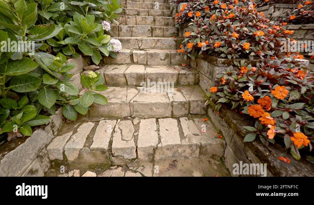 Elaborate stairs Stock Videos & Footage - HD and 4K Video Clips - Alamy