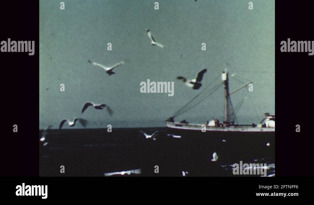 1950s flying boat Stock Videos & Footage - HD and 4K Video Clips - Alamy