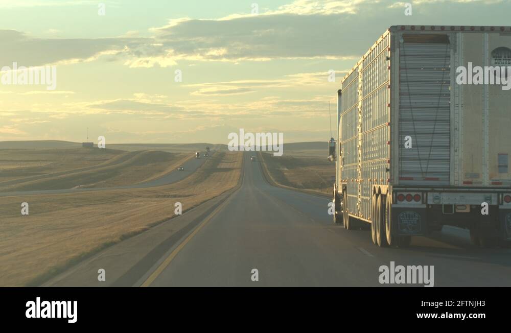 Livestock lorry america Stock Videos & Footage - HD and 4K Video Clips ...