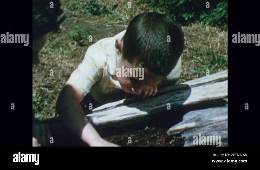 Dead cricket Stock Videos & Footage - HD and 4K Video Clips - Alamy