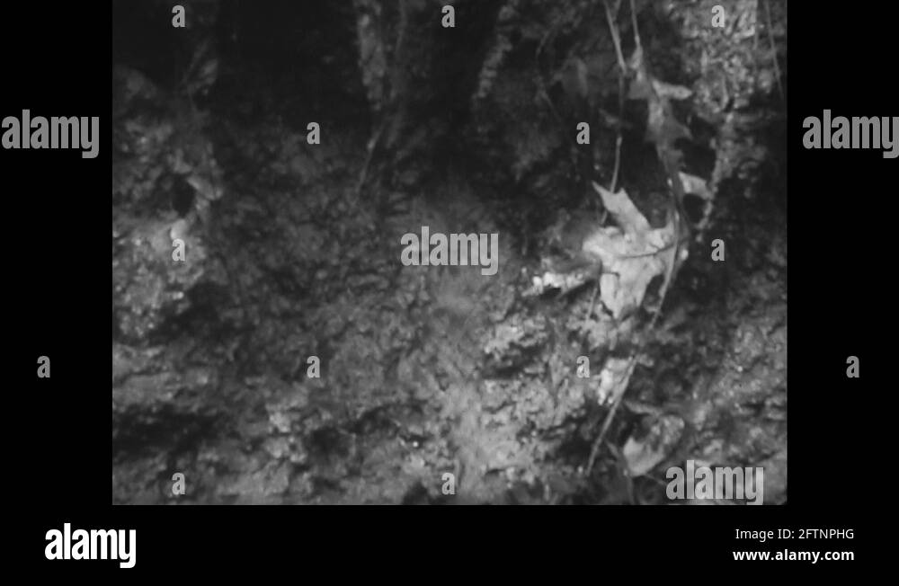 Steep falls Stock Videos & Footage - HD and 4K Video Clips - Alamy