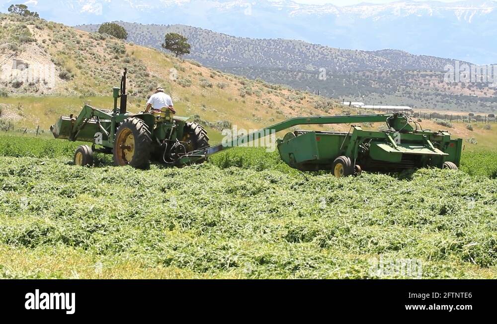 Hay cutter Stock Videos & Footage - HD and 4K Video Clips - Alamy