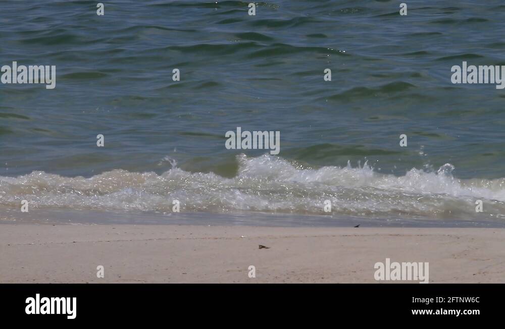 Gulf water Stock Videos & Footage - HD and 4K Video Clips - Alamy
