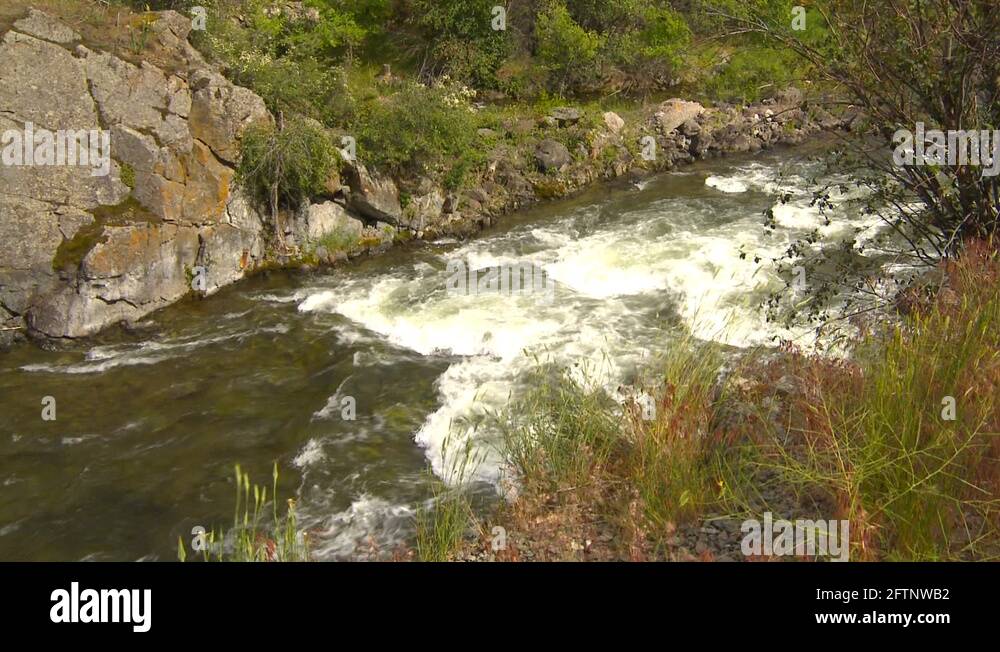 Whitewater river Stock Videos & Footage - HD and 4K Video Clips - Alamy