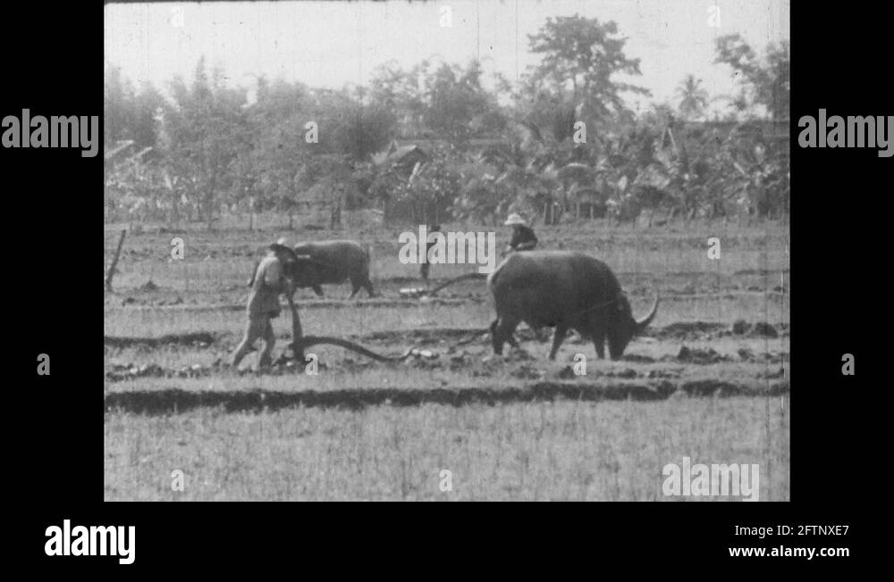 Ancient plough Stock Videos & Footage - HD and 4K Video Clips - Alamy