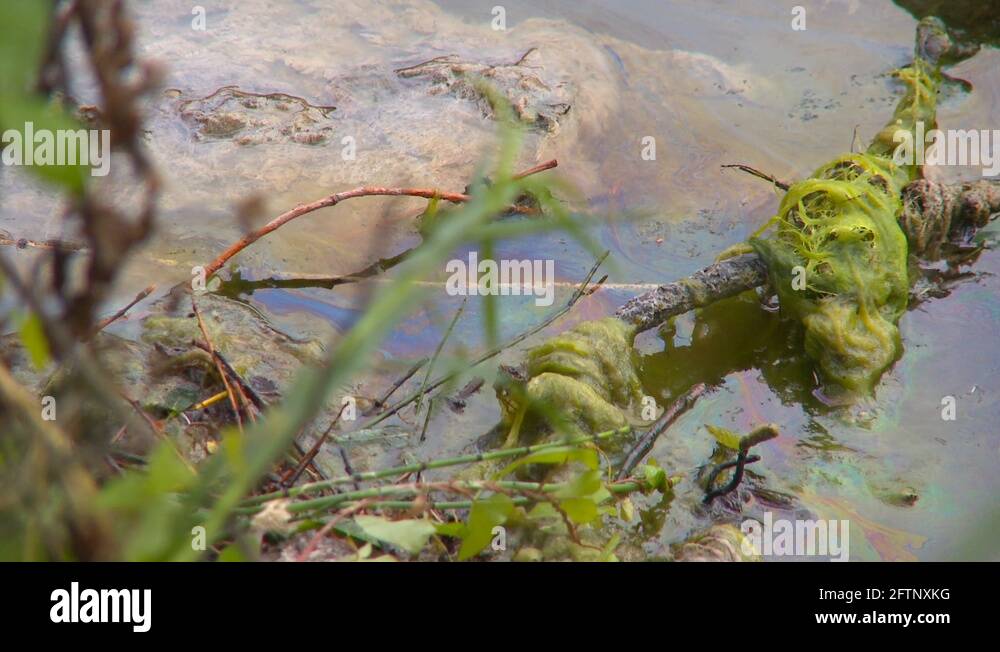 the environment, diesel fuel spill on water Stock Video Footage - Alamy