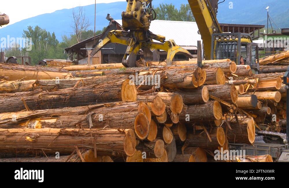 Renewable logging industry Stock Videos & Footage - HD and 4K Video ...