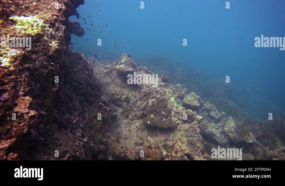 Depth meters Stock Videos & Footage - HD and 4K Video Clips - Alamy