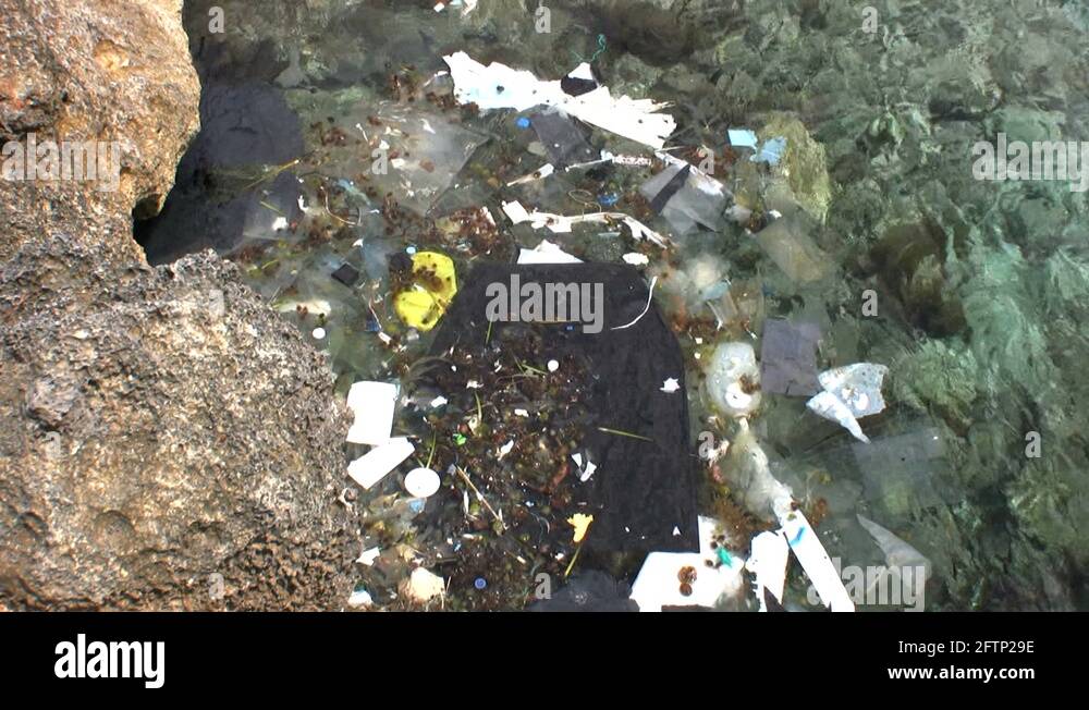 Environment Stock Videos & Footage - HD and 4K Video Clips - Alamy