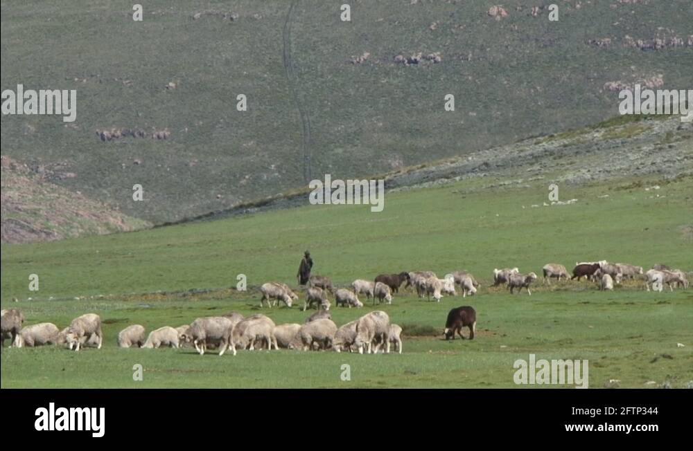 Lesotho mountains Stock Videos & Footage - HD and 4K Video Clips - Alamy