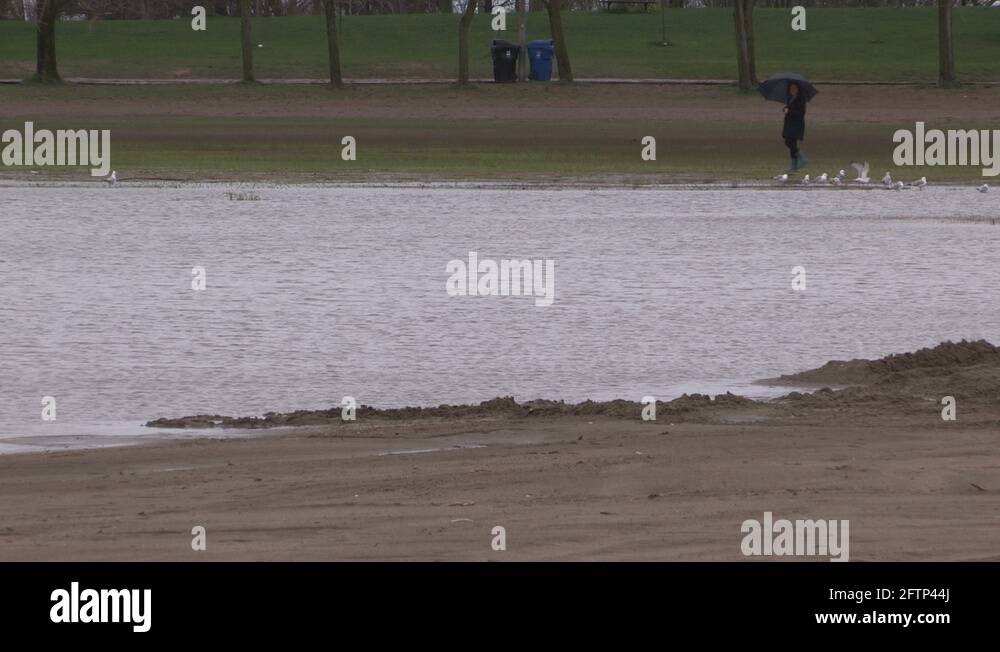 Rising water levels on lakes oceans and seas cause beach flooding and ...