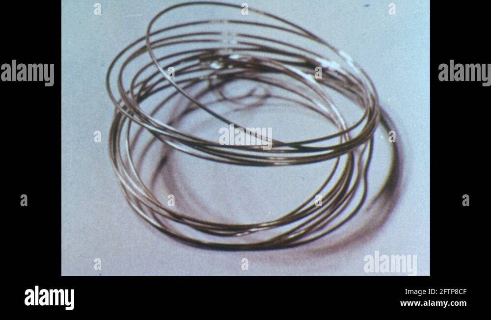 Coil dog Stock Videos & Footage - HD and 4K Video Clips - Alamy