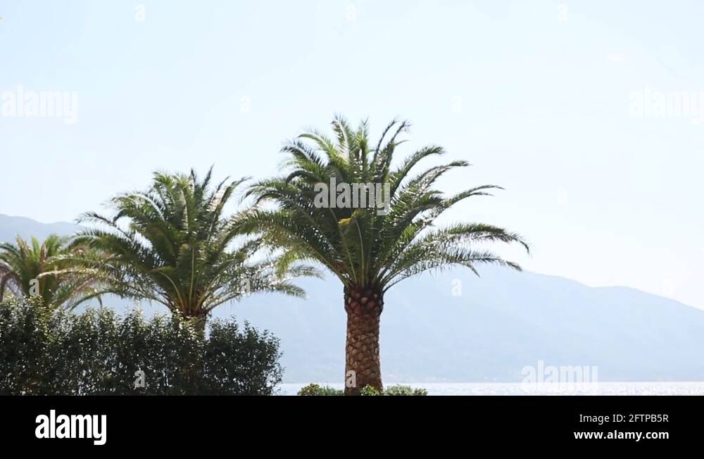 Boka background Stock Videos & Footage - HD and 4K Video Clips - Alamy