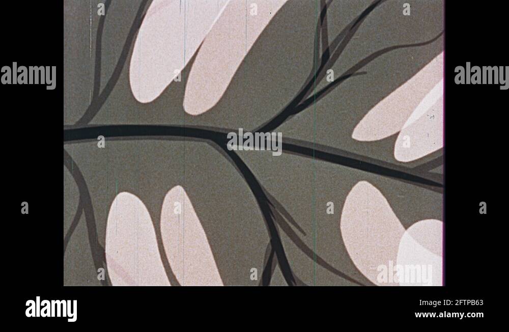 Tree cells Stock Videos & Footage - HD and 4K Video Clips - Alamy