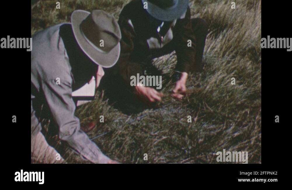 Study ground Stock Videos & Footage - HD and 4K Video Clips - Alamy