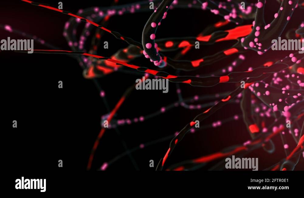 Detailed neuron Stock Videos & Footage - HD and 4K Video Clips - Alamy