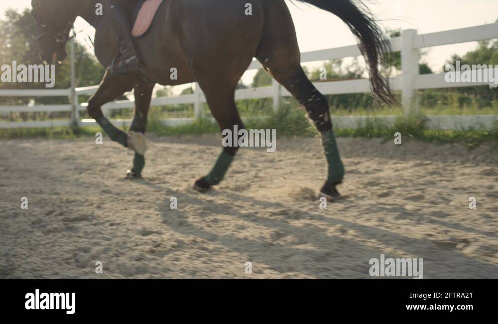 SLOW MOTION: Horse with unrecognizable rider cantering in outdoor ...